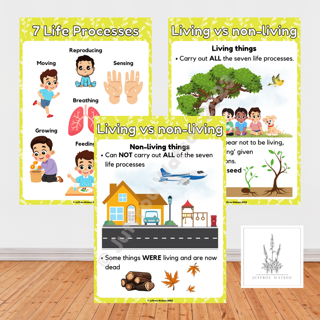 Grade 4 Natural Science Posters – Juffrou Watson