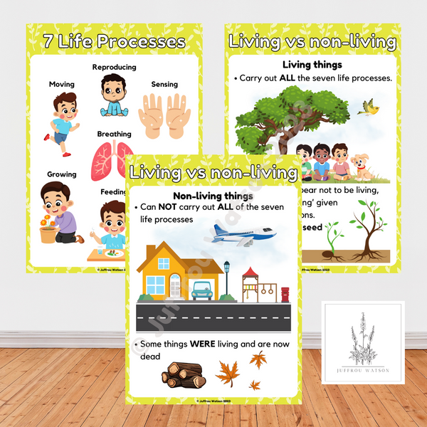 Gr4 NST Term 1 Posters | Gr4 NWT Kwartaal 1 Plakkate – Juffrou Watson