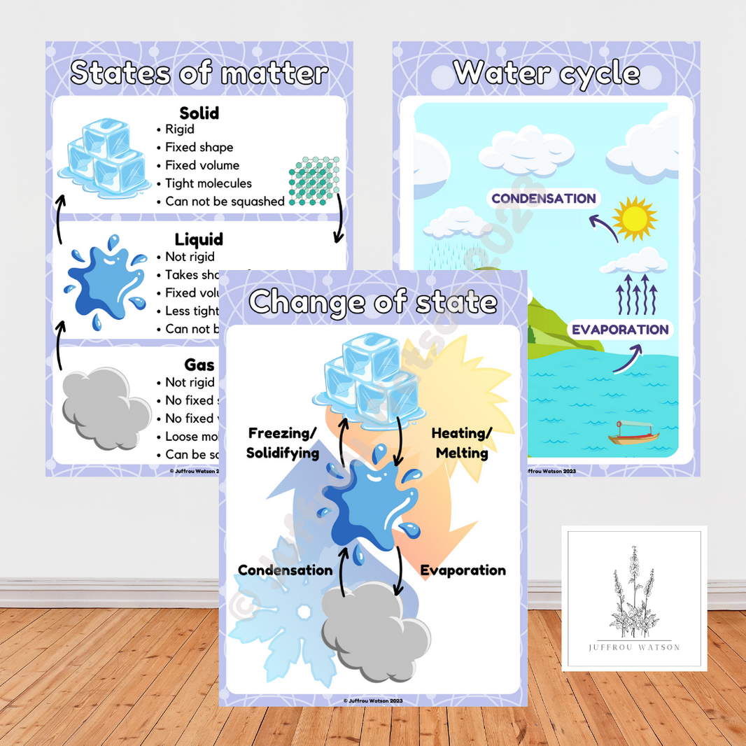 Grade 4 Natural Science Posters – Juffrou Watson