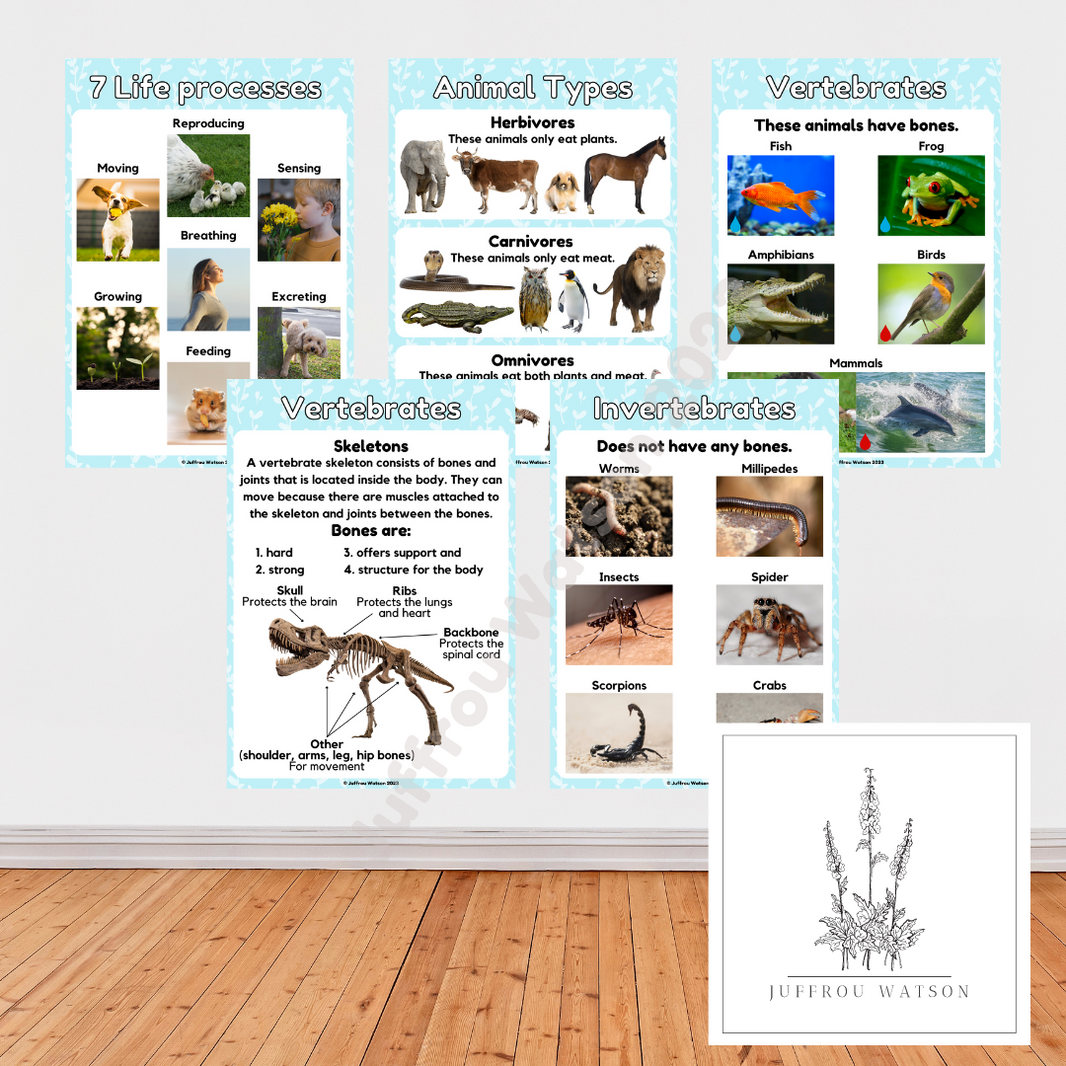 Grade 5 Natural Science Poster – Juffrou Watson