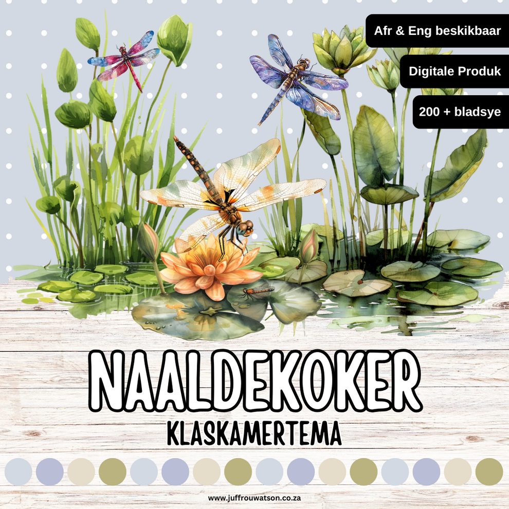 Dragonfly Classroom Theme | Naaldekoker Klaskamertema – Juffrou Watson